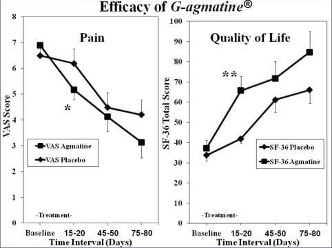 Agmatine: Enhance Nerve Functions - Gilad & Gilad