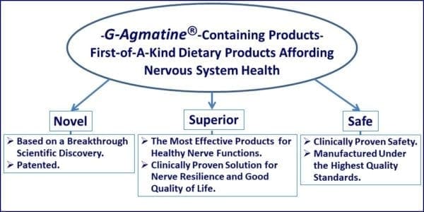 Innovative Neuroscience Solutions - Gilad & Gilad